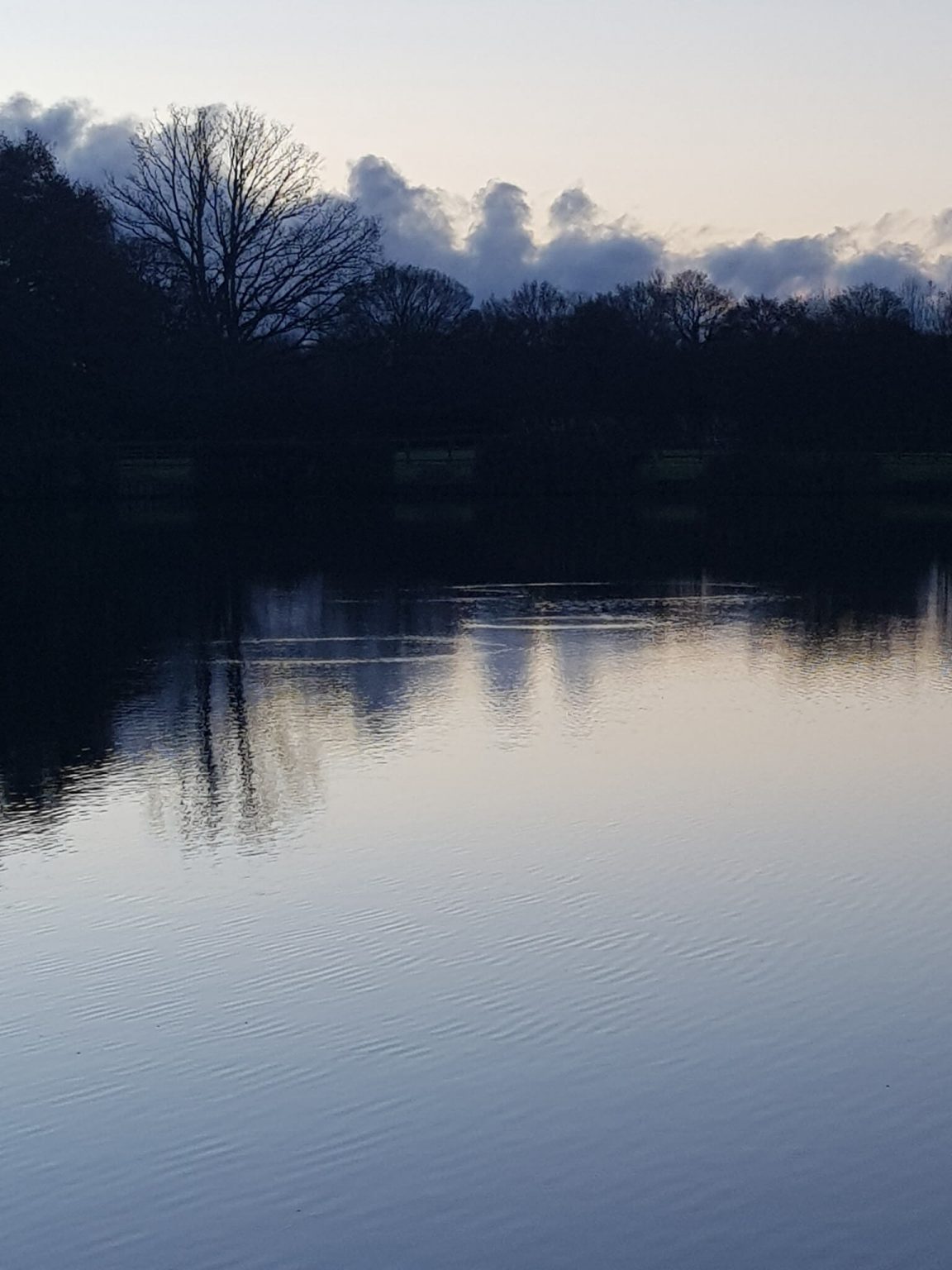 Watmore Farm Fishery – Hampshire
