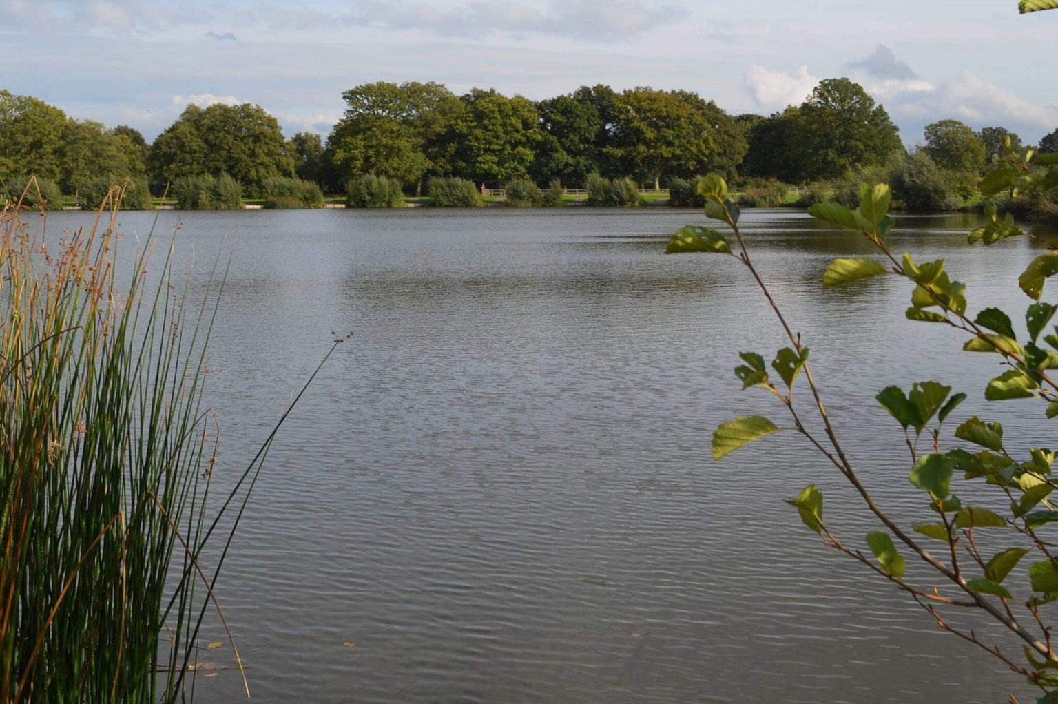 Watmore Farm Fishery – Hampshire